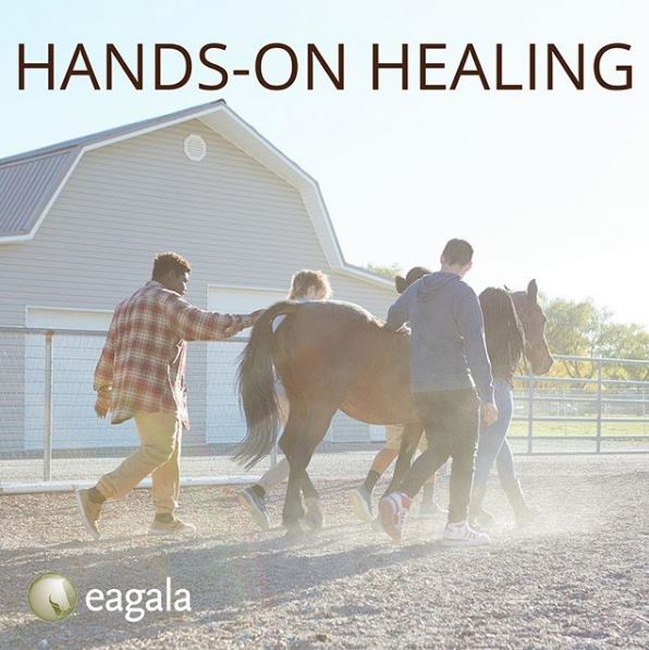 Hands-On Healing – Eagala