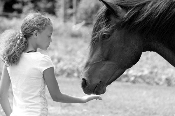 PEACE Ranch Kids@PEACE program and Veteran Services programs. – Eagala