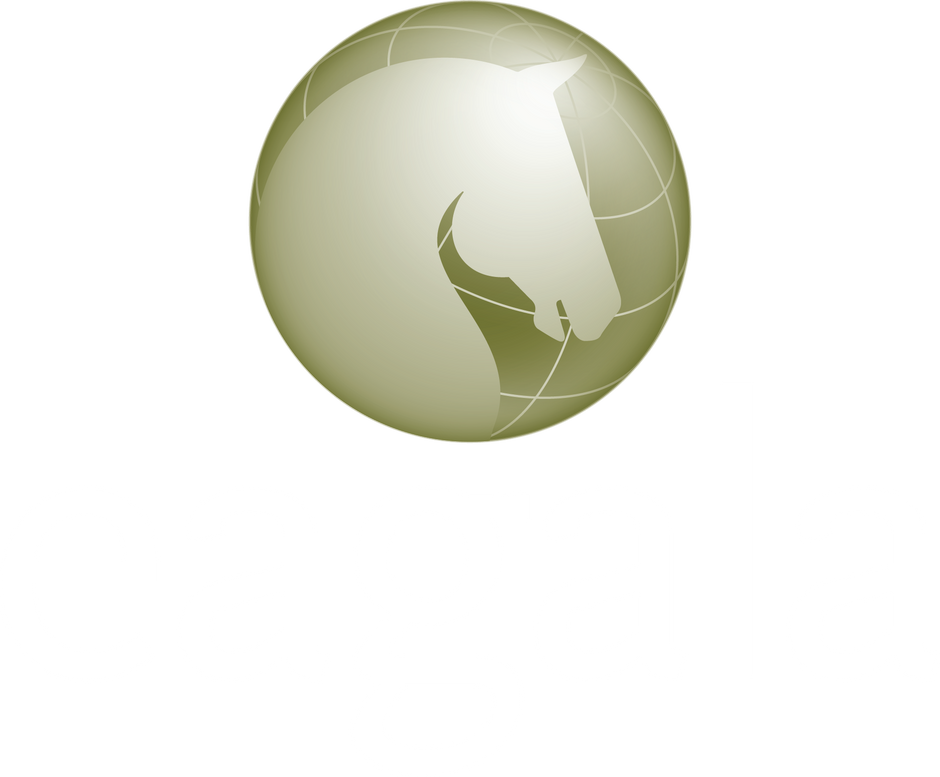 Development & Training for Equine-Assisted Therapy – Eagala